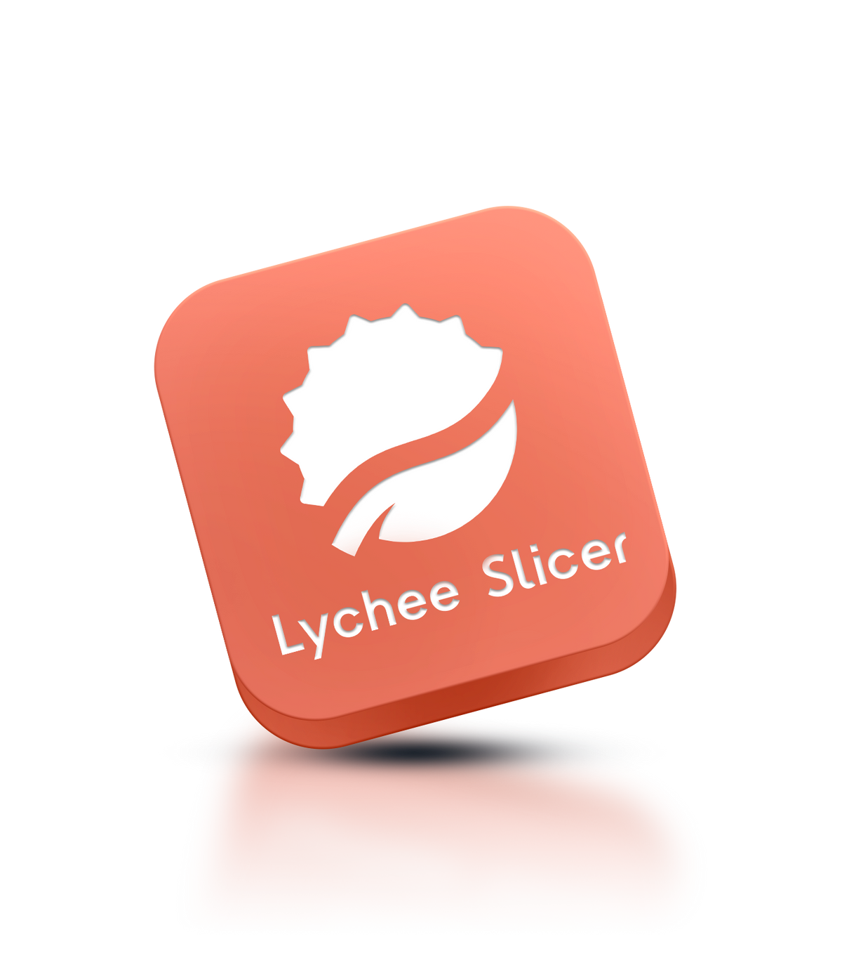 Lychee Slicer - Software | Phrozen Technology: Resin 3D Printer ...