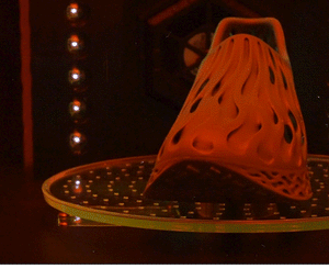 Phrozen Wash & Cure Kit | Phrozen Technology: Resin 3D Printer Manufacturer